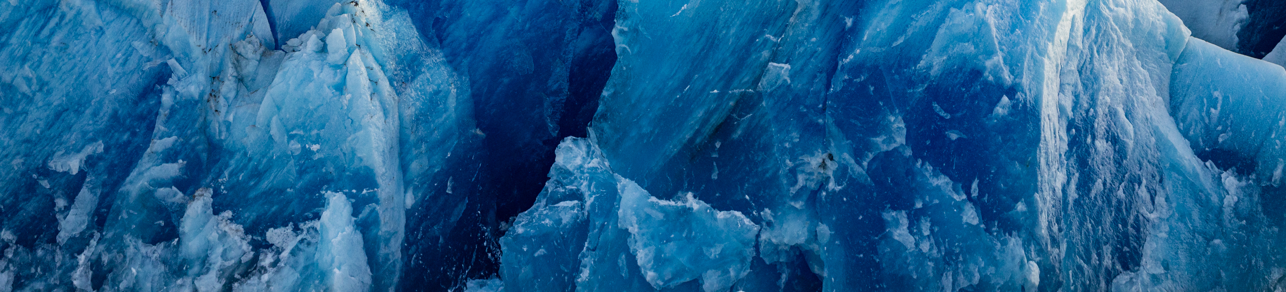 Ecological Tools - Forest P. Hayes